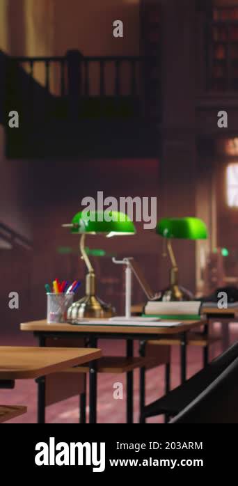 Vertical Video Empty inspiring library interior with heritage design ...