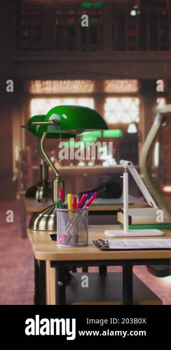 Vertical Video Professional library space designed with historic ...