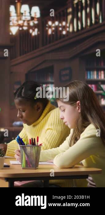Vertical Video Diverse classmates scholars doing their class homework ...