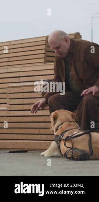 Praising dog Stock Videos & Footage - HD and 4K Video Clips - Alamy