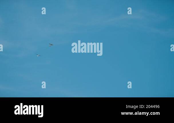 The plane is towing a glider in the sky. The booking glider is gaining ...