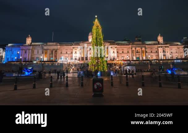 Trafalgar Square in London features a large Christmas tree and ...