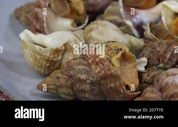 plate of whelks with mayonnaise on a table Stock Video Footage - Alamy