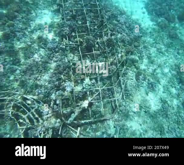 Maritime habitat Stock Videos & Footage - HD and 4K Video Clips - Alamy