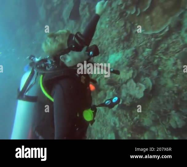 Explore the captivating underwater world with this thrilling diving experience captured in ...