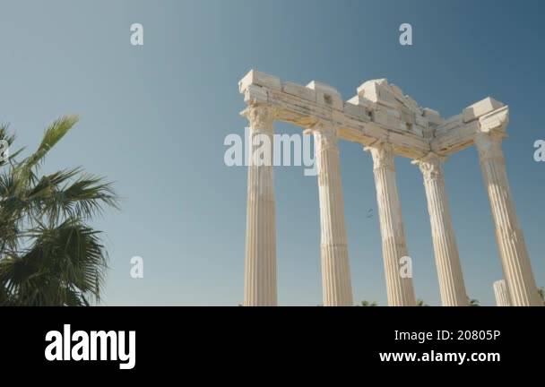 A view of ancient white columns under a clear blue sky, with a palm ...