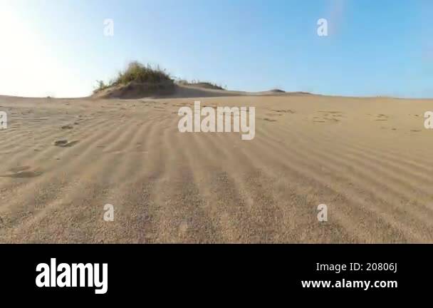 A low angle view of sandy terrain with scattered footprints and small ...