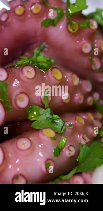 Octopus serving with vegetables, sea food. Freshly boiled octopus ...