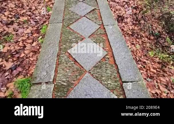 A distinctive stone pathway winds through a serene forest, featuring ...