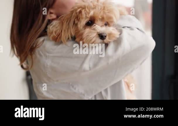 An affectionate moment as an owner lovingly holds and hugs their cute ...