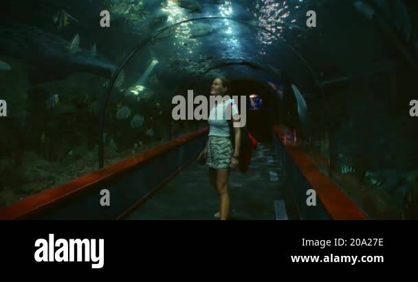 A visitor walking through an underwater tunnel surrounded by tropical ...