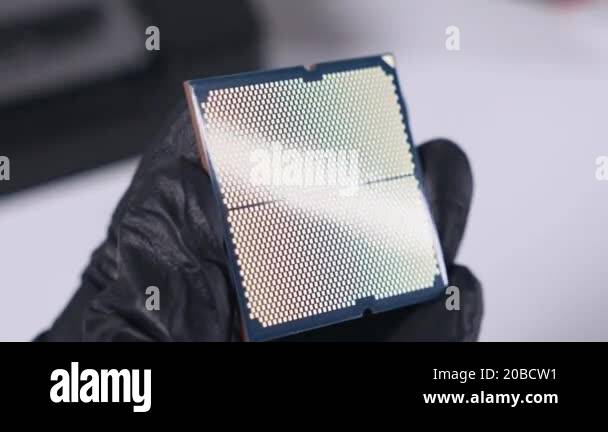 Backside of processor in black gloves, highlighting gold contact pins ...