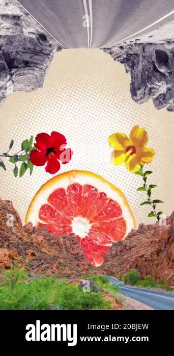 Collage minimal design artwork Stock Videos & Footage - HD and 4K Video ...