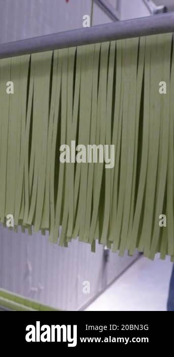 Fresh green pasta is hanging and drying on metal racks in a food ...