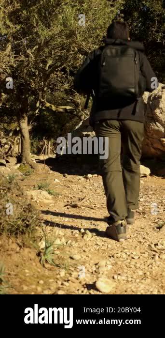 Vertical path in sunny Stock Videos & Footage - HD and 4K Video Clips ...