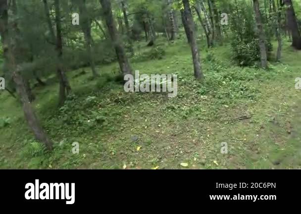 Thrilling mule ride through Kumrat Valley, Pakistan, where stunning ...