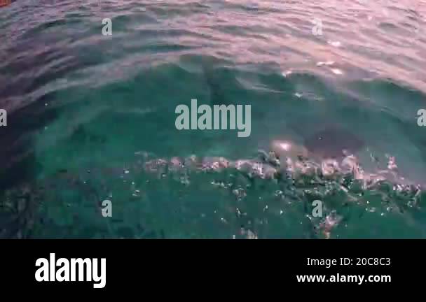 A view of water waves with hands moving in it like swimming at Ad ...