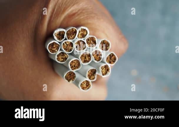 A hand firmly gripping multiple rolled cigarettes, set against an ...