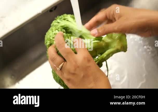 A hand gently rinses fresh, vibrant broccoli under running water inside ...