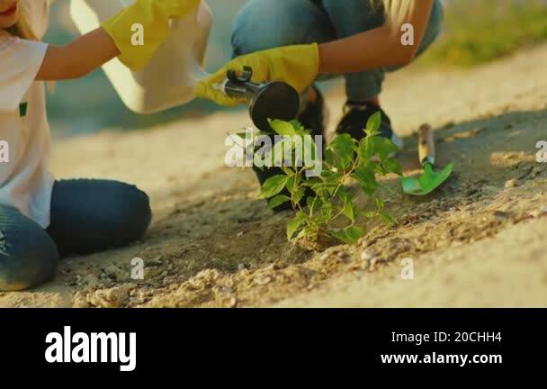 Earth day and tree planting Stock Videos & Footage - HD and 4K Video ...