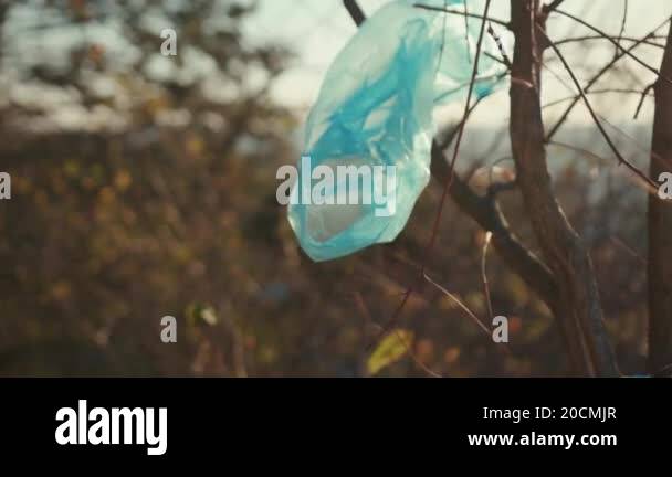 At sunlight plastic bag hanging on green in forest pollution ecosystem ...