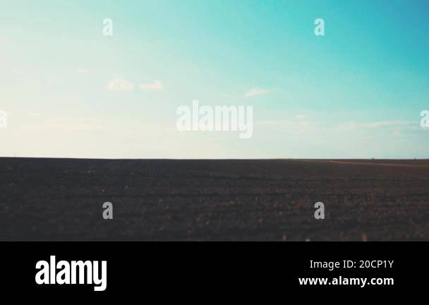 Idyllic nature. Beautiful panoramic still shot of wheat field desolate ...