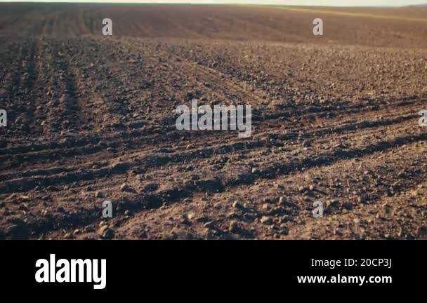 Desolate landscape of empty wheat field after winter season ...