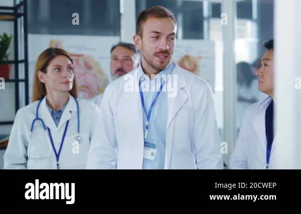 Diverse young adult doctors negotiating business meeting agreement ...