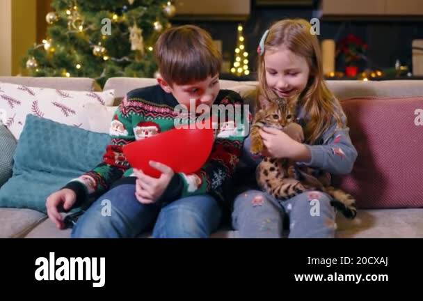 Cute child family of two adorable siblings stroking their cat eating ...