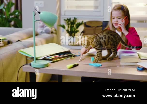 Beautiful child girl play with cat have fun doing homework sitting at ...