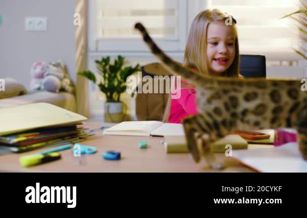 Cute smart primary school child girl learning writing doing homework ...