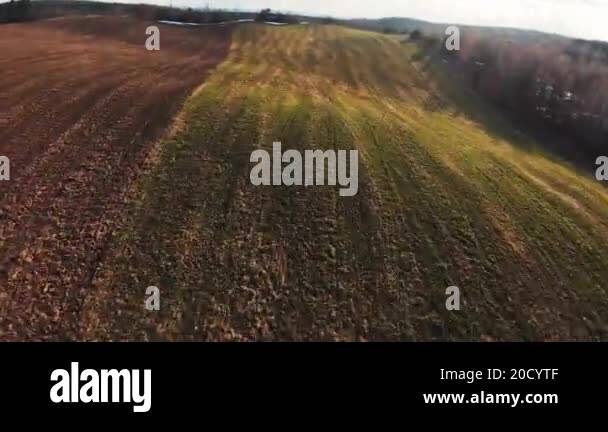 Shot of aerial view of agricultural field. Drone copter flying over ...