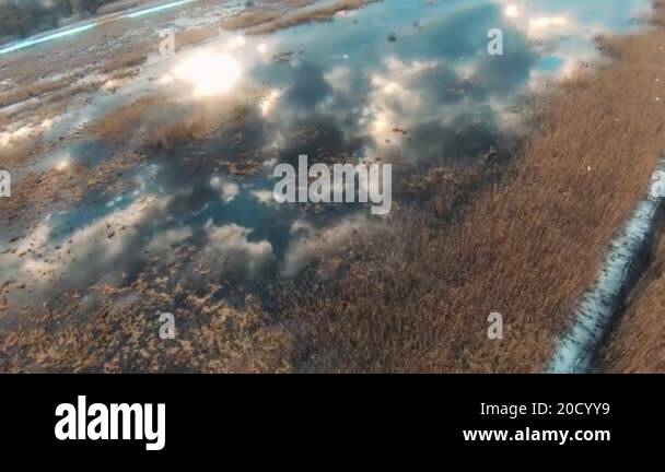 Copter view flying over shrubs, swamp, lake. View from above on water ...