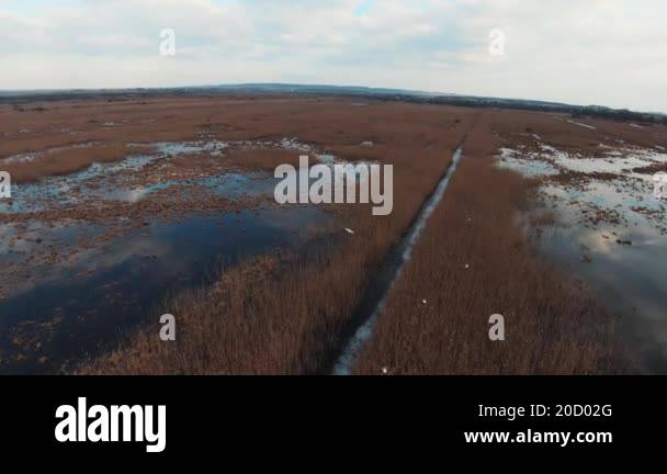 Close up of view flying over shrubs, swamp, lake. View from above on ...
