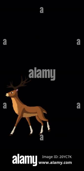 Antlered deer. Handmade animated looped HD footage isolated on alpha channel. Vertical video ...