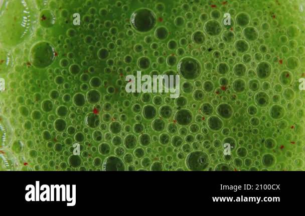 This abstract macro image features a close-up view of a green liquid filled with small bubbles ...