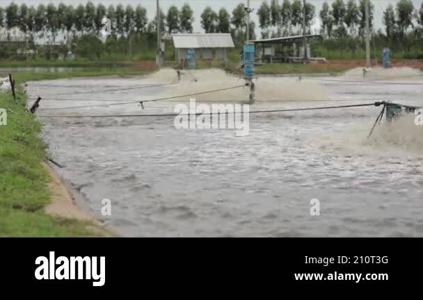 Many ponds Stock Videos & Footage - HD and 4K Video Clips - Alamy