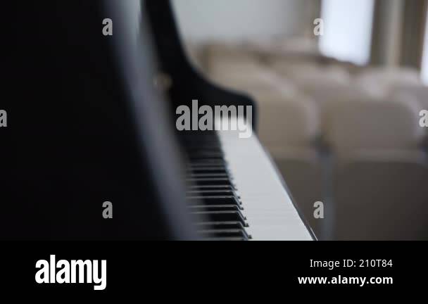 Black and white keys of piano form striking visual rhythm. Gentle light ...