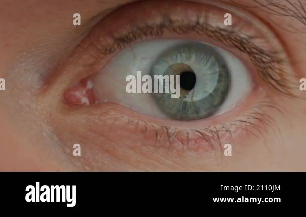 Close-up of human eye rotating in different directions. Macro shot of ...