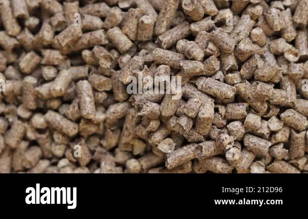 Wood filler for cat toilet, top view. Hygienic filler for pets is ...