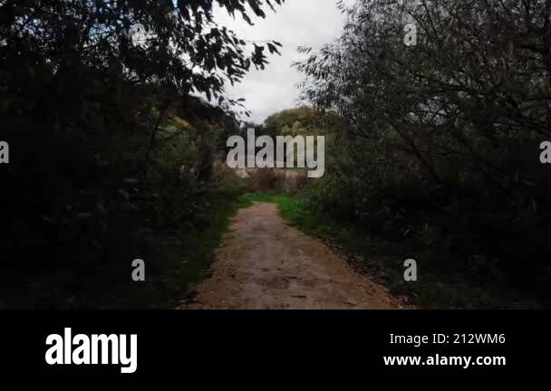 Pathway through park medium shot selective focus Stock Video Footage ...