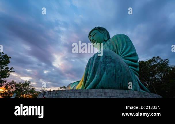 Scenery a large Buddha statue surrounded by lush forest on the top of ...