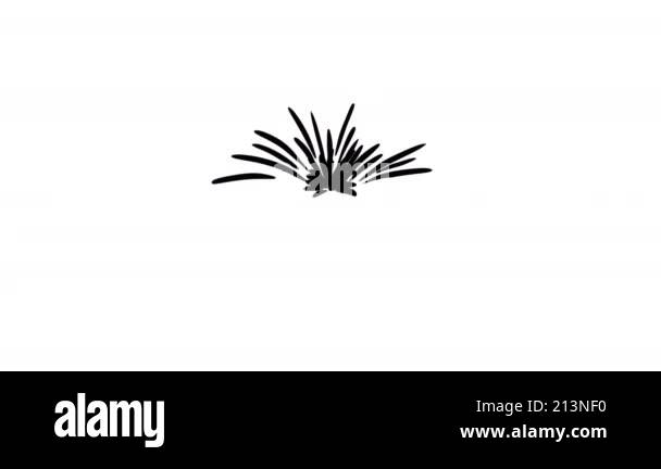 Animation of various cartoon firework or festive salute. Bright 2d ...