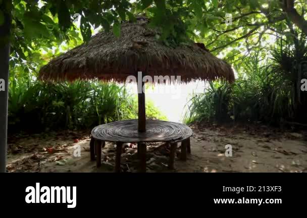 relaxing bamboo hut at sea shore with green tree at morning video is ...