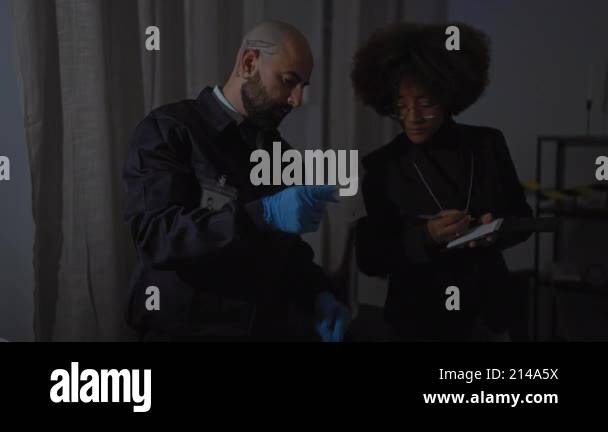 Crime scene investigators collect Stock Videos & Footage - HD and 4K ...