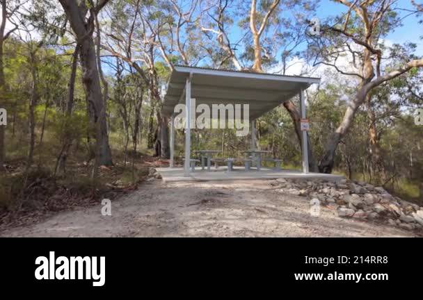 Footage of the picnic area and forest located at Hawkins Lookout near ...
