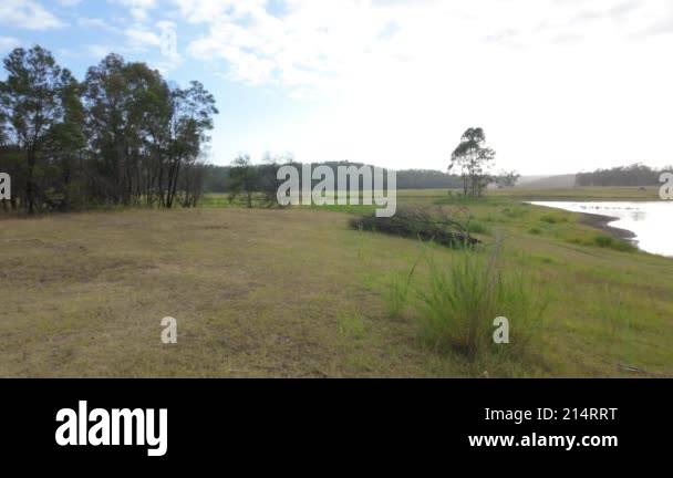 Footage of a large green agricultural field with a centrally located ...