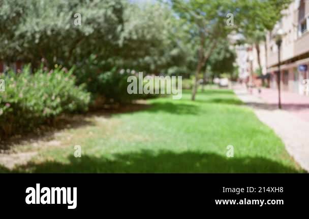 Relaxing park setting green Stock Videos & Footage - HD and 4K Video ...