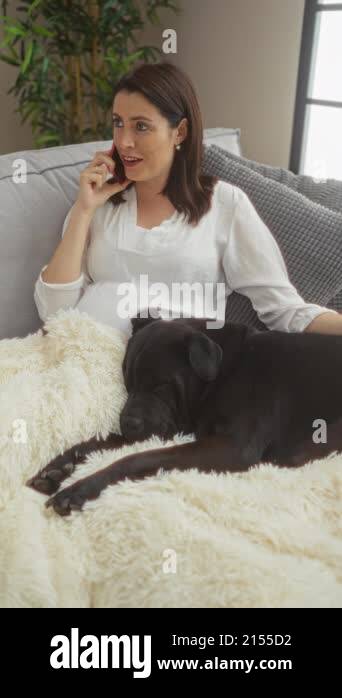 Portrait white fluffy labrador Stock Videos & Footage - HD and 4K Video ...