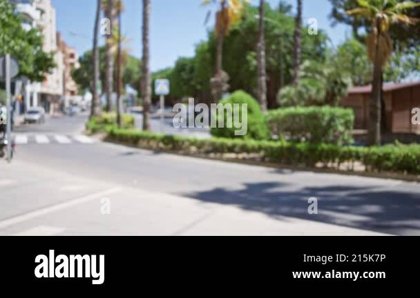 Blurred outdoor street view with defocused background and palm trees ...